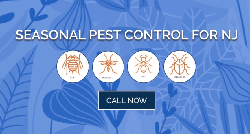 Seasonal Pest Control NJ - Alternative Pest Control